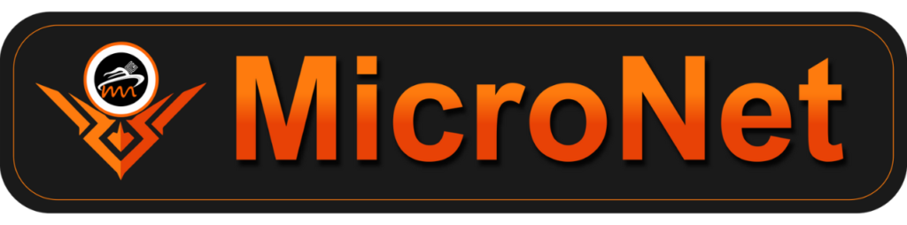 micronetgroups.com
