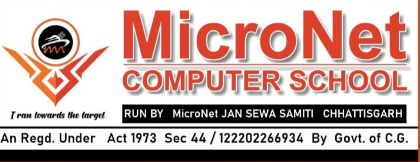 micronetgroups.com